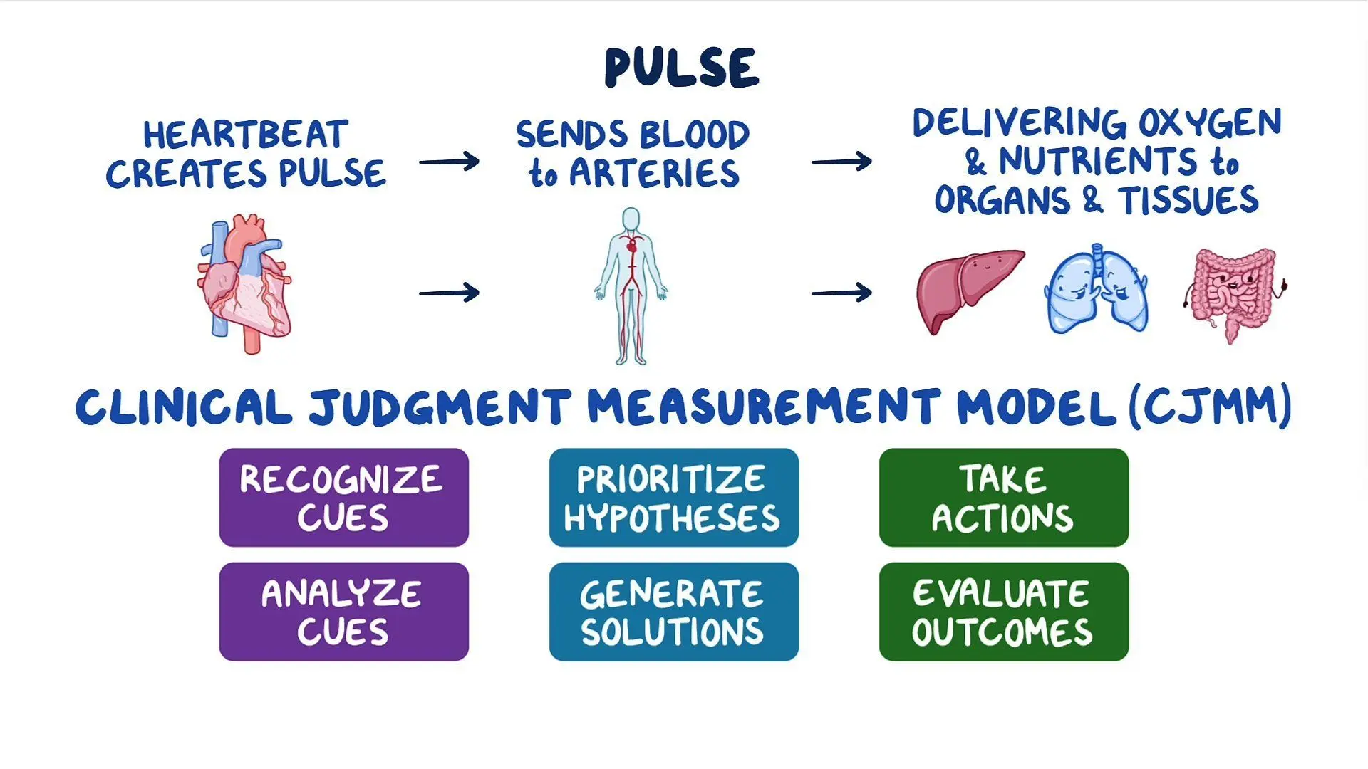 Pulse: Video, Causes, & Meaning | Osmosis