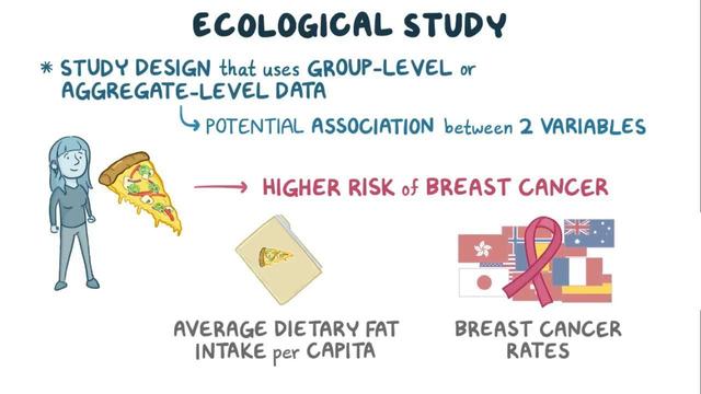 Video: Ecologic study