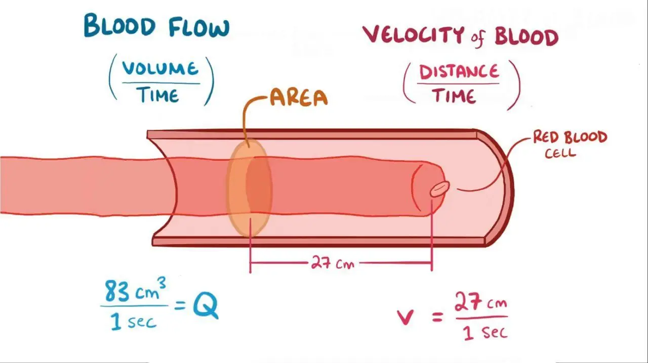 Blood pressure, blood flow, and resistance: Video, Causes, & Meaning ...