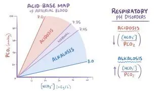 Acid-Base Physiology Notes: Diagrams & Download PDF | Osmosis