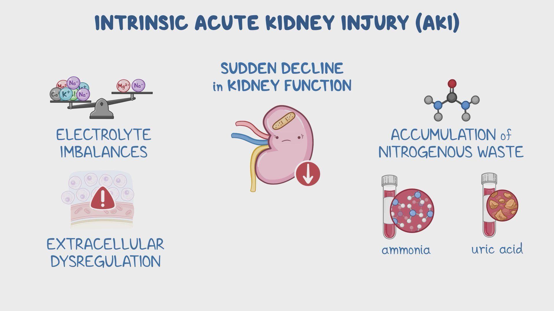 Intrinsic acute kidney injury (glomerular causes): Video & Meaning ...