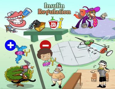 Insulin: Video, Causes, & Meaning | Osmosis