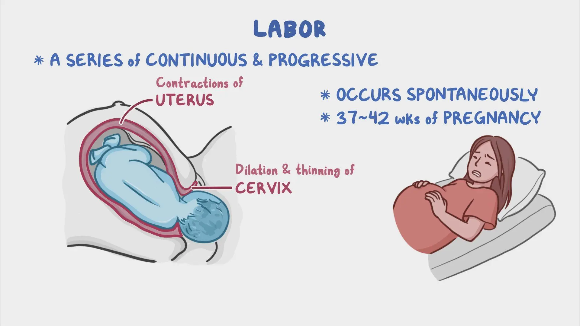 Cardinal Movements Of Labor Normal Labor