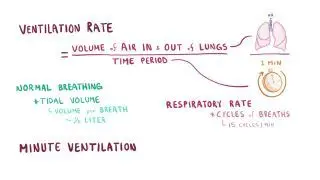 Breathing Mechanics Notes: Diagrams & Download PDF | Osmosis