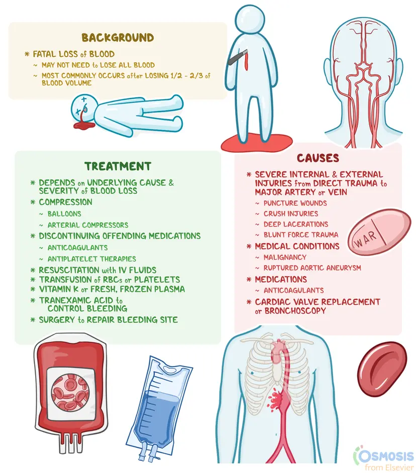 Exsanguination: What Is It, Causes, Treatment, and More | Osmosis