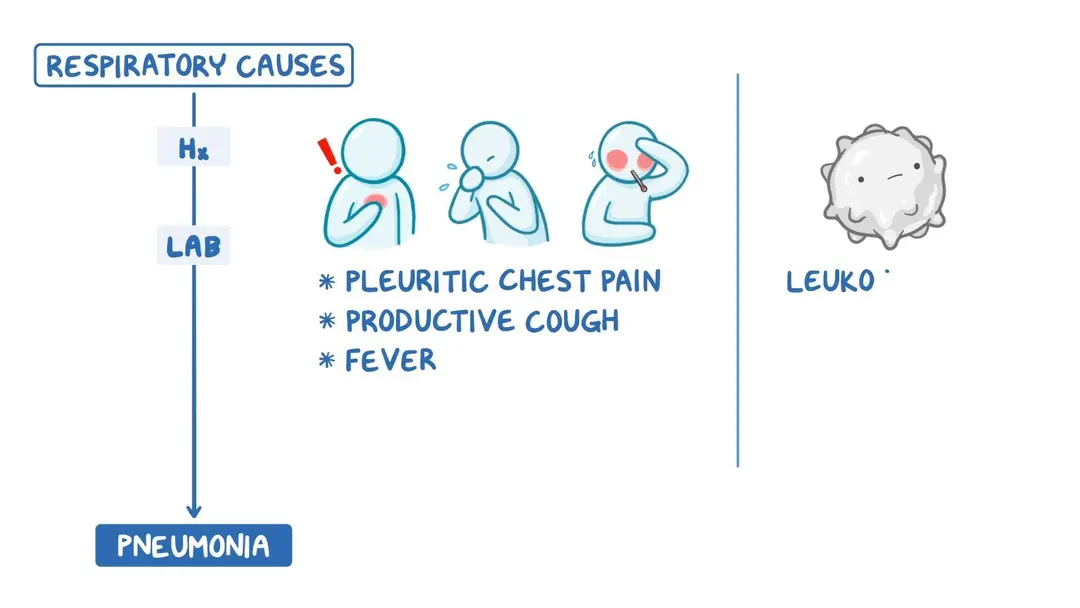Approach to dyspnea: Video & Meaning | Osmosis