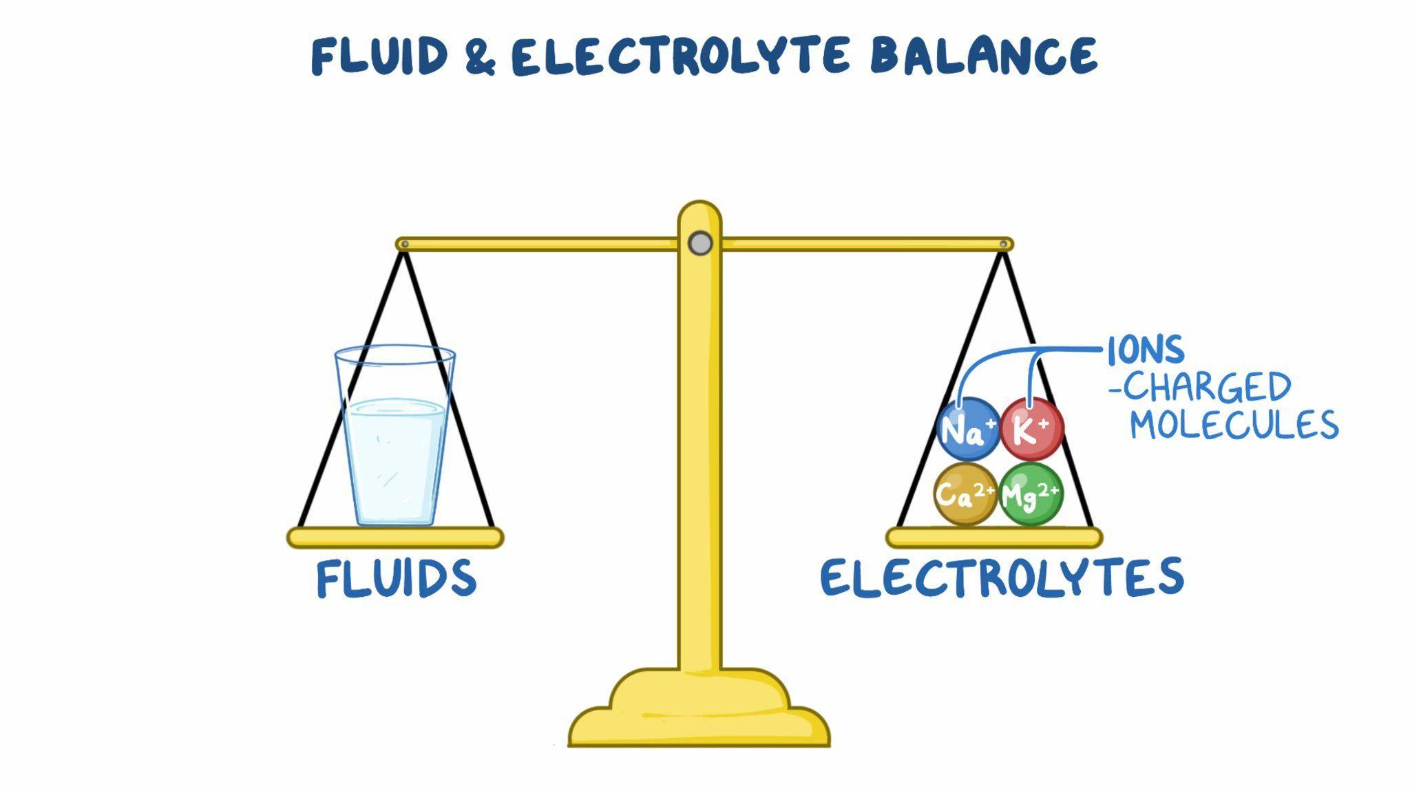 Fluid and Electrolyte Balance: Video, Causes, & Meaning | Osmosis