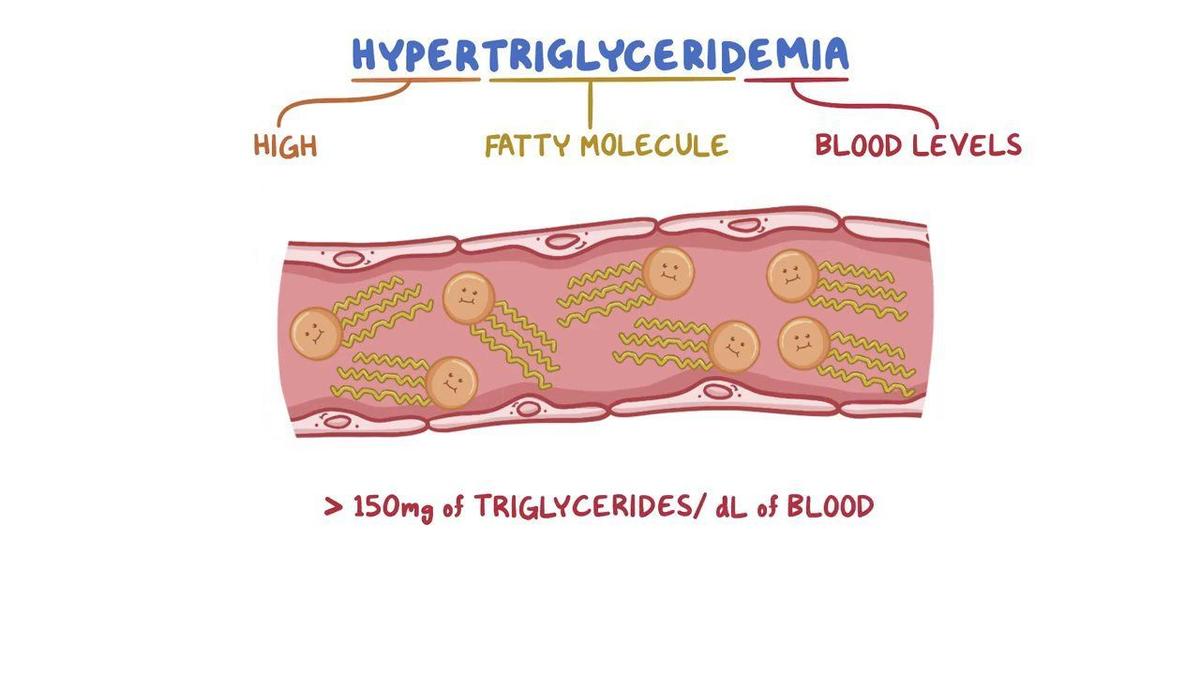 Hypertriglyceridemia: Video, Causes, & Meaning | Osmosis
