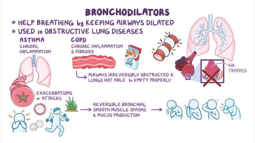 Bronchodilators: Nursing pharmacology: Video, Causes, & Meaning | Osmosis