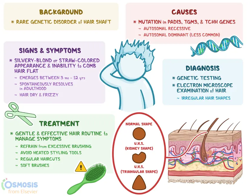 Uncombable Hair Syndrome: What Is It, Causes, Treatment, and More | Osmosis