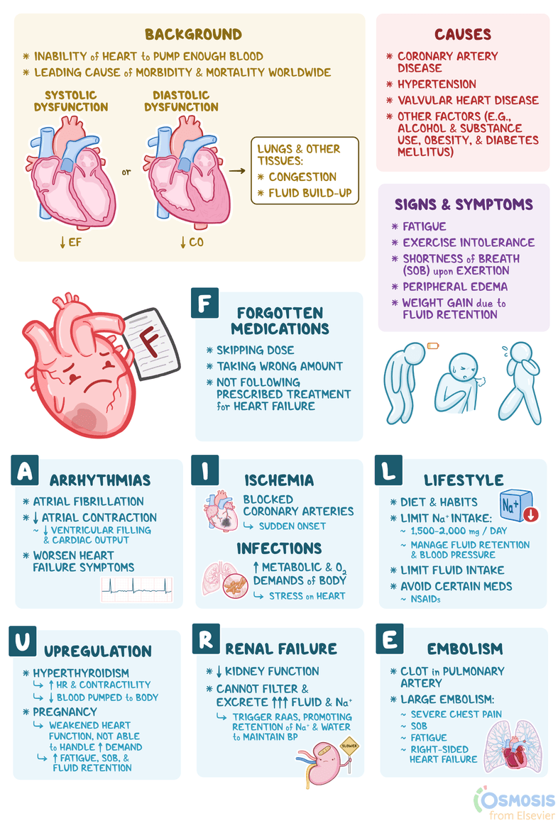 FAILURE: Causes of heart failure exacerbation acronym | Osmosis