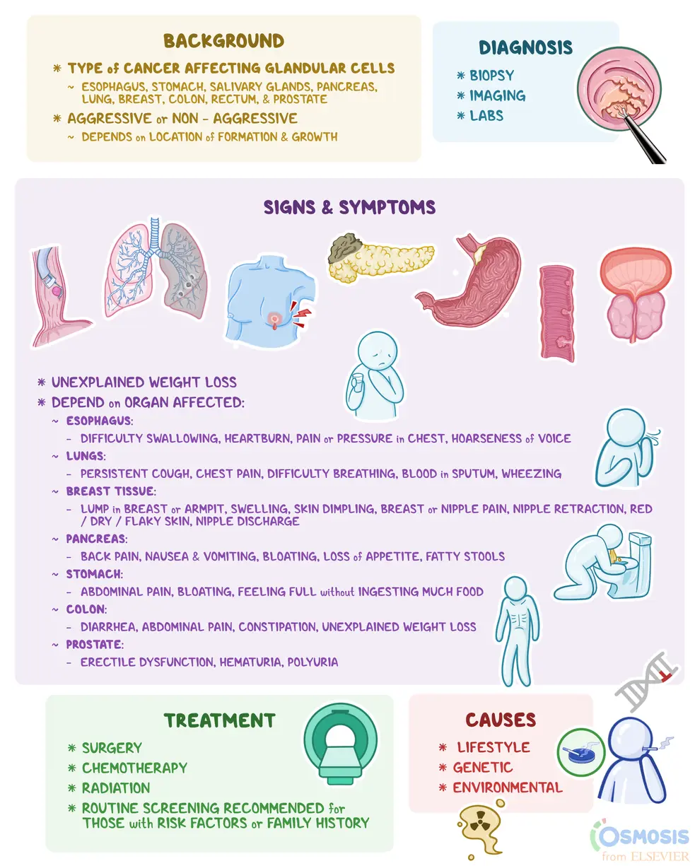 Adenocarcinoma: What Is It, Causes, Signs, and More | Osmosis