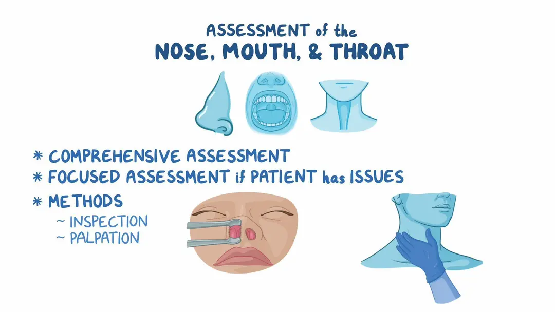 Assessment of Nose, Mouth, and Throat: Video, Causes, & Meaning | Osmosis
