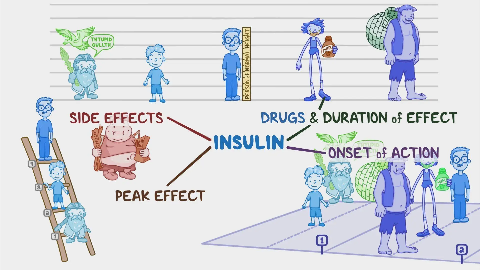Insulins: Video, Causes, & Meaning | Osmosis