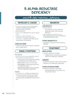 deficiencia de 5-alfa-reductasa: Vídeo & Anatomía | Osmosis