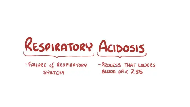Video: Kidney countercurrent multiplication | Osmosis