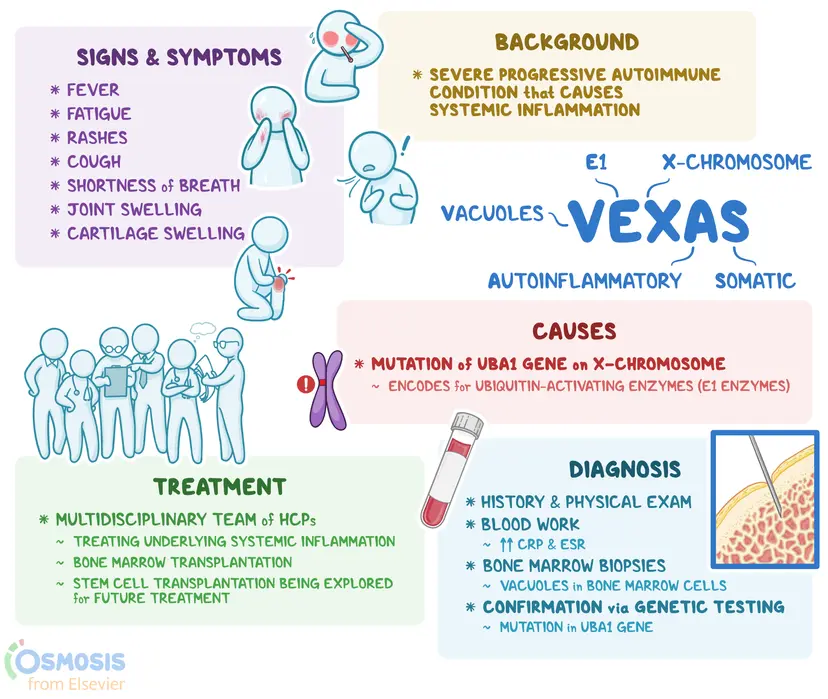 VEXAS Syndrome: What Is It, Causes, Treatment, and More | Osmosis