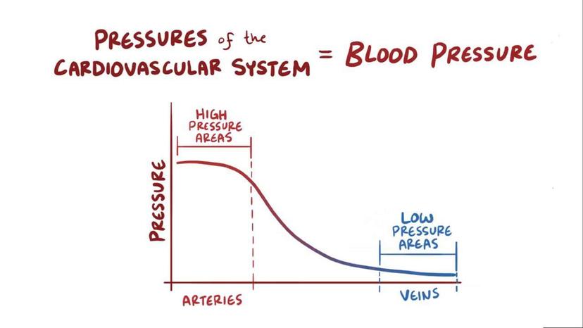 Pressures in the cardiovascular system: Video, Causes, & Meaning | Osmosis