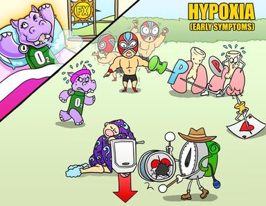 Hypoxia: Video, Anatomy, Definition & Function | Osmosis
