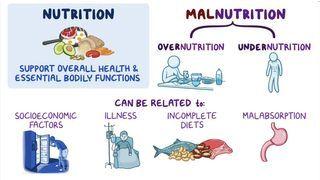Refeeding Syndrome: What Is It, Causes, Treatment, and More | Osmosis