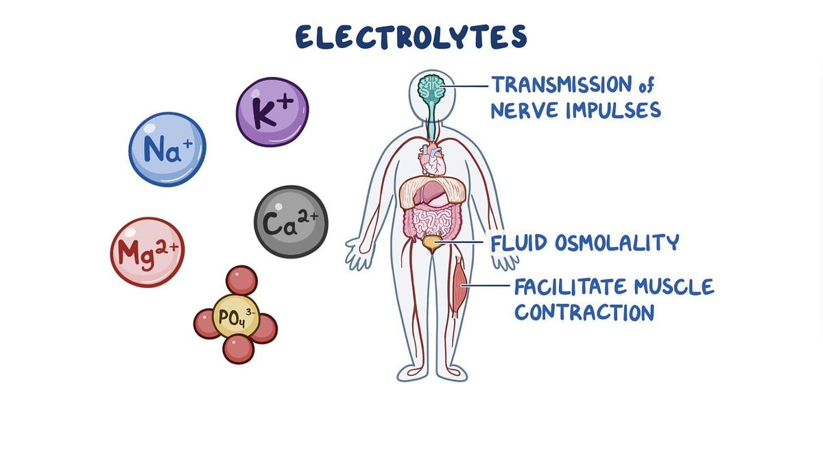 Electrolyte balance - Overview: Nursing: Video & Causes | Osmosis