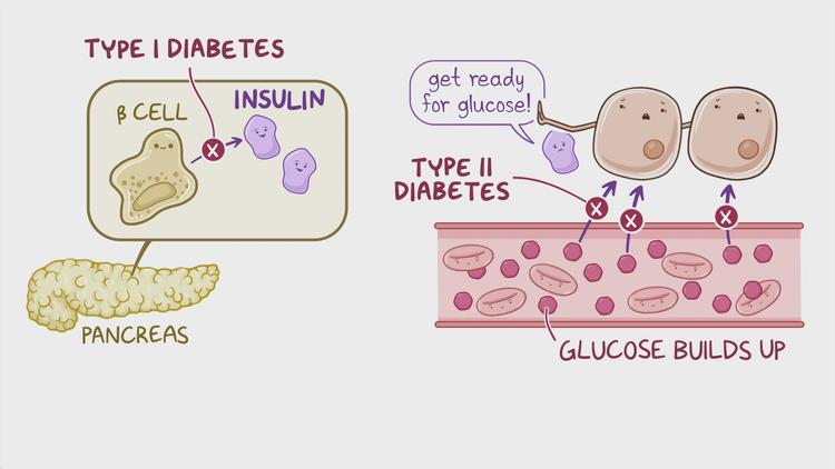 Medication administration - Insulin: Nursing pharmacology: Video ...