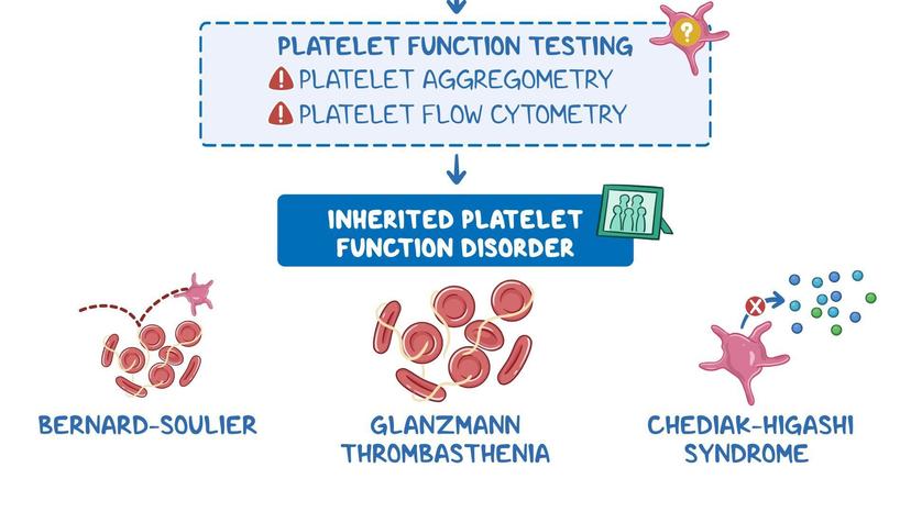 Approach to bleeding disorders (platelet dysfunction): Video & Meaning ...
