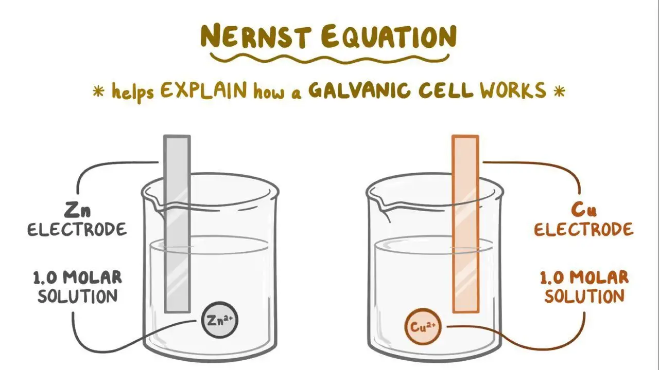 Nernst equation: Video, Causes, & Meaning | Osmosis
