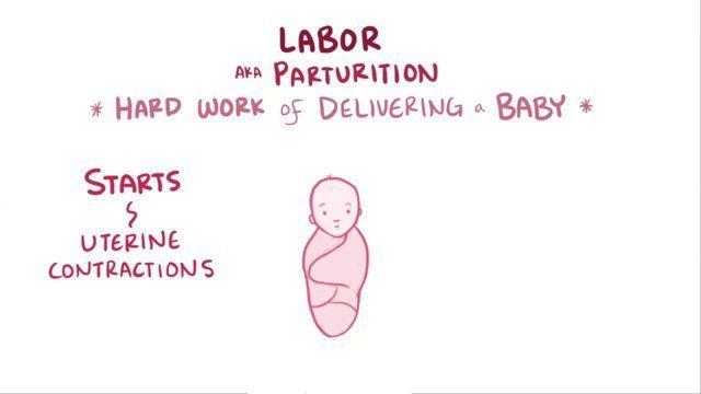 Video: Stages of labor