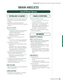 Meningitis: Video, Causes, & Meaning | Osmosis