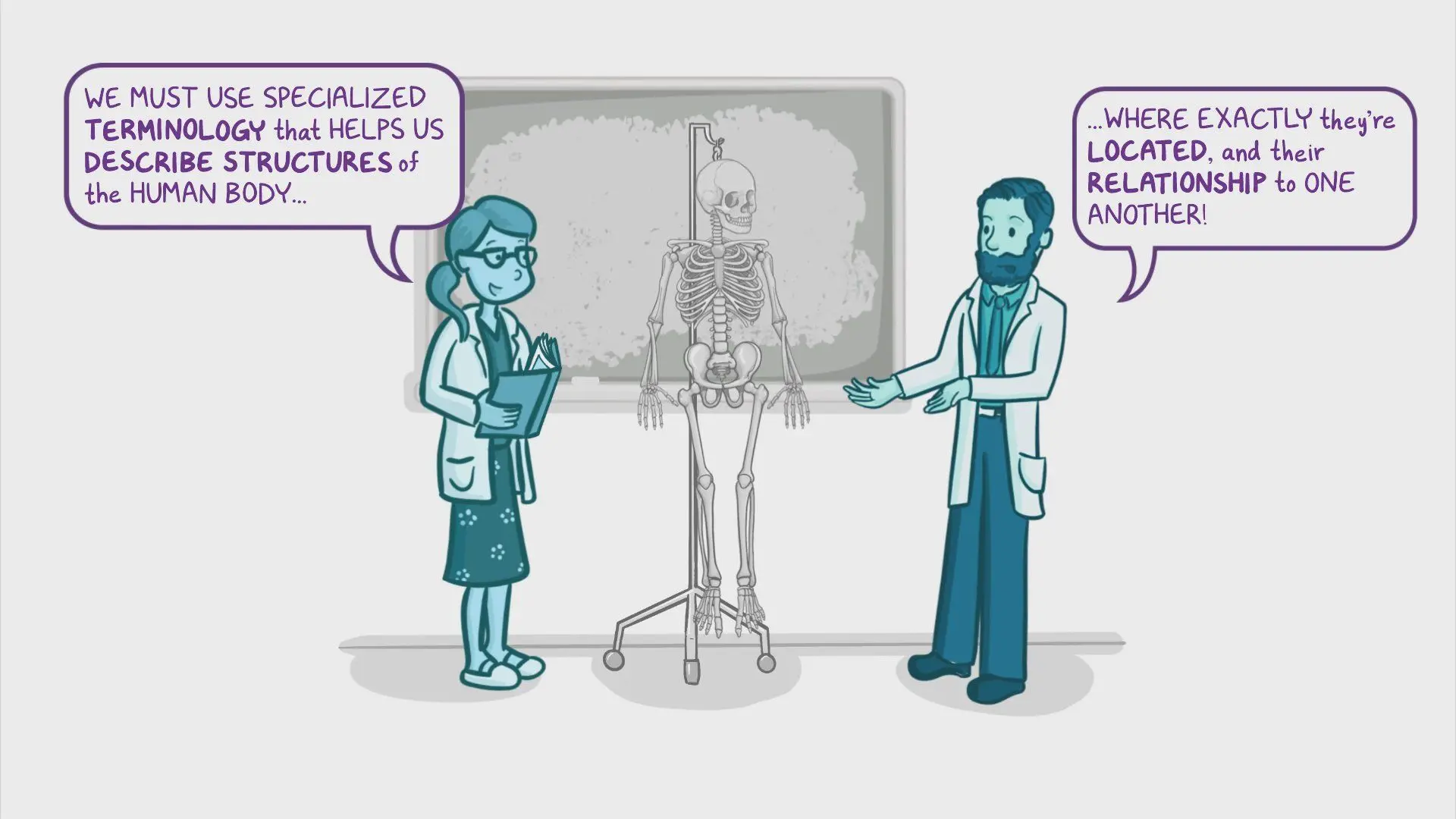 Anatomical terminology: Video, Causes, & Meaning | Osmosis