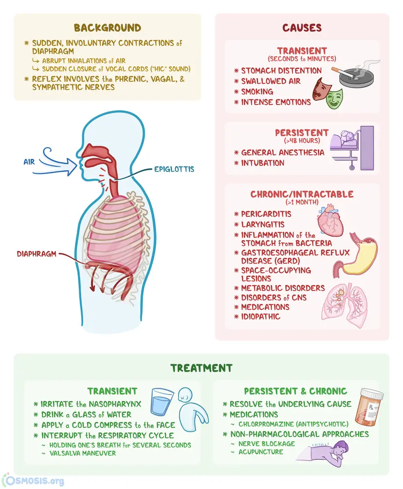 Hiccups: What Are They, Causes, Treatment, and More | Osmosis