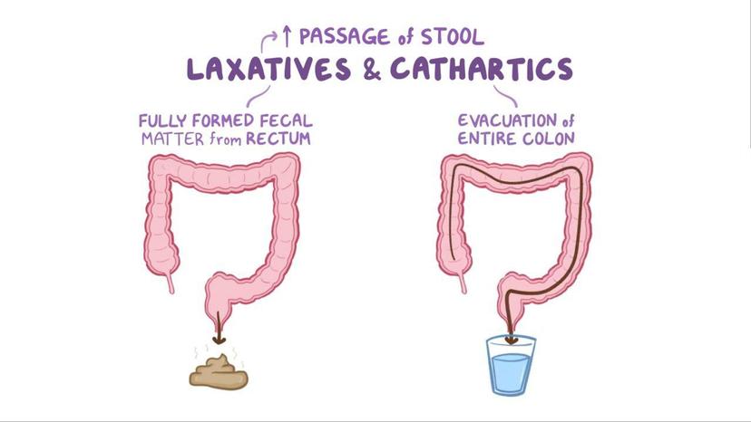 Laxantes y purgantes: Vídeo, Anatomía & Definición | Osmosis