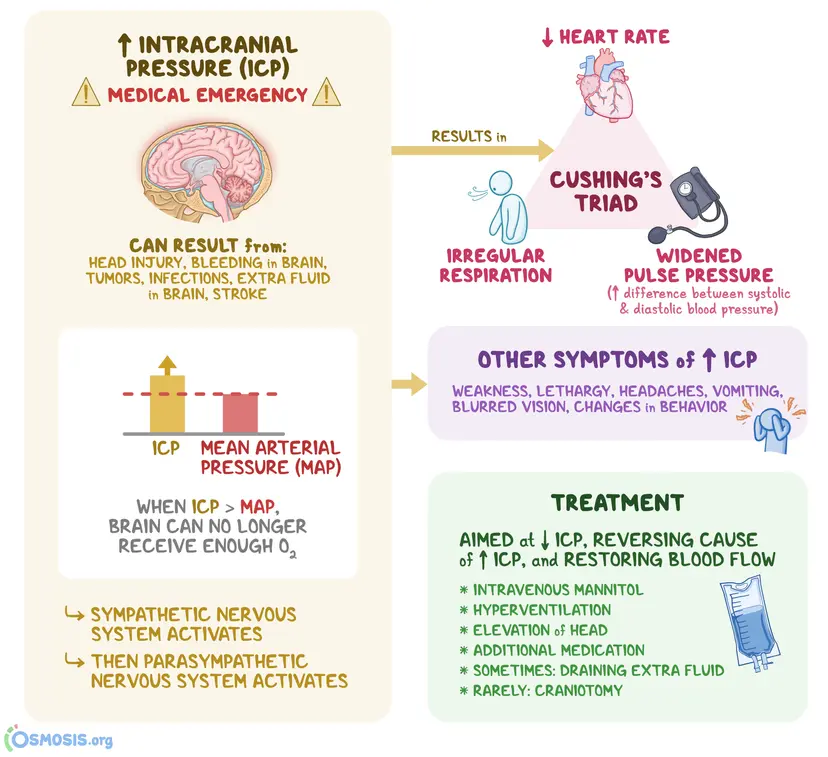 Cushing's Triad: What Is It, Causes, Assessment Findings, Treatment ...