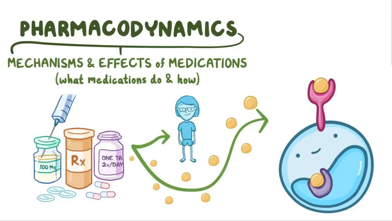 Pharmacodynamics: Drug-receptor interactions: Video, Causes, & Meaning ...