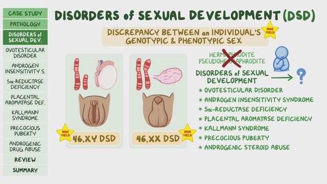 Video Disorders Of Sexual Development And Sex Hormones Pathology Review