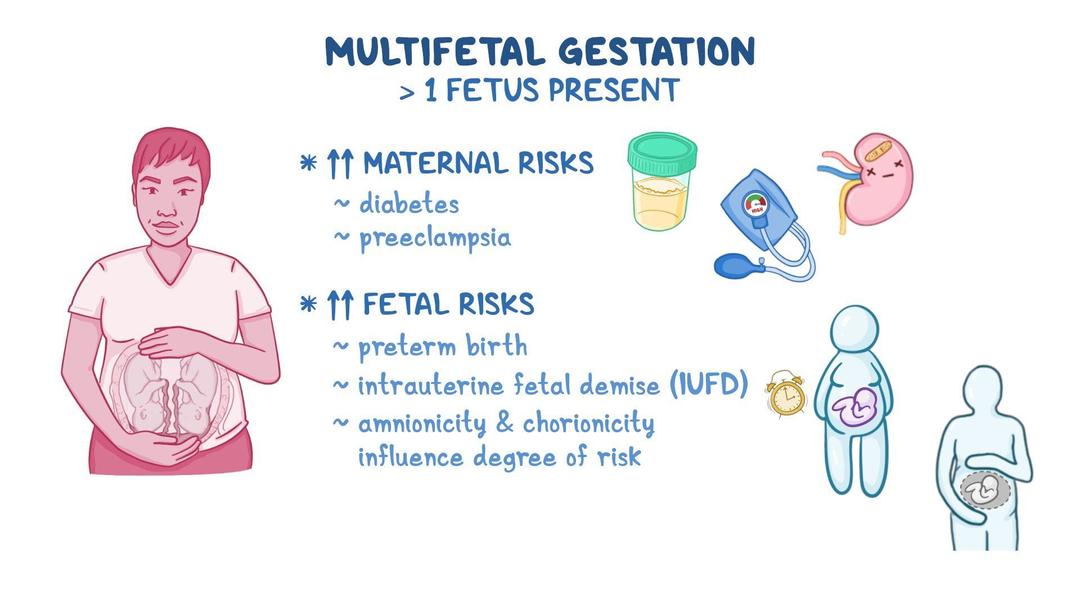 Multifetal gestation: Video & Meaning | Osmosis