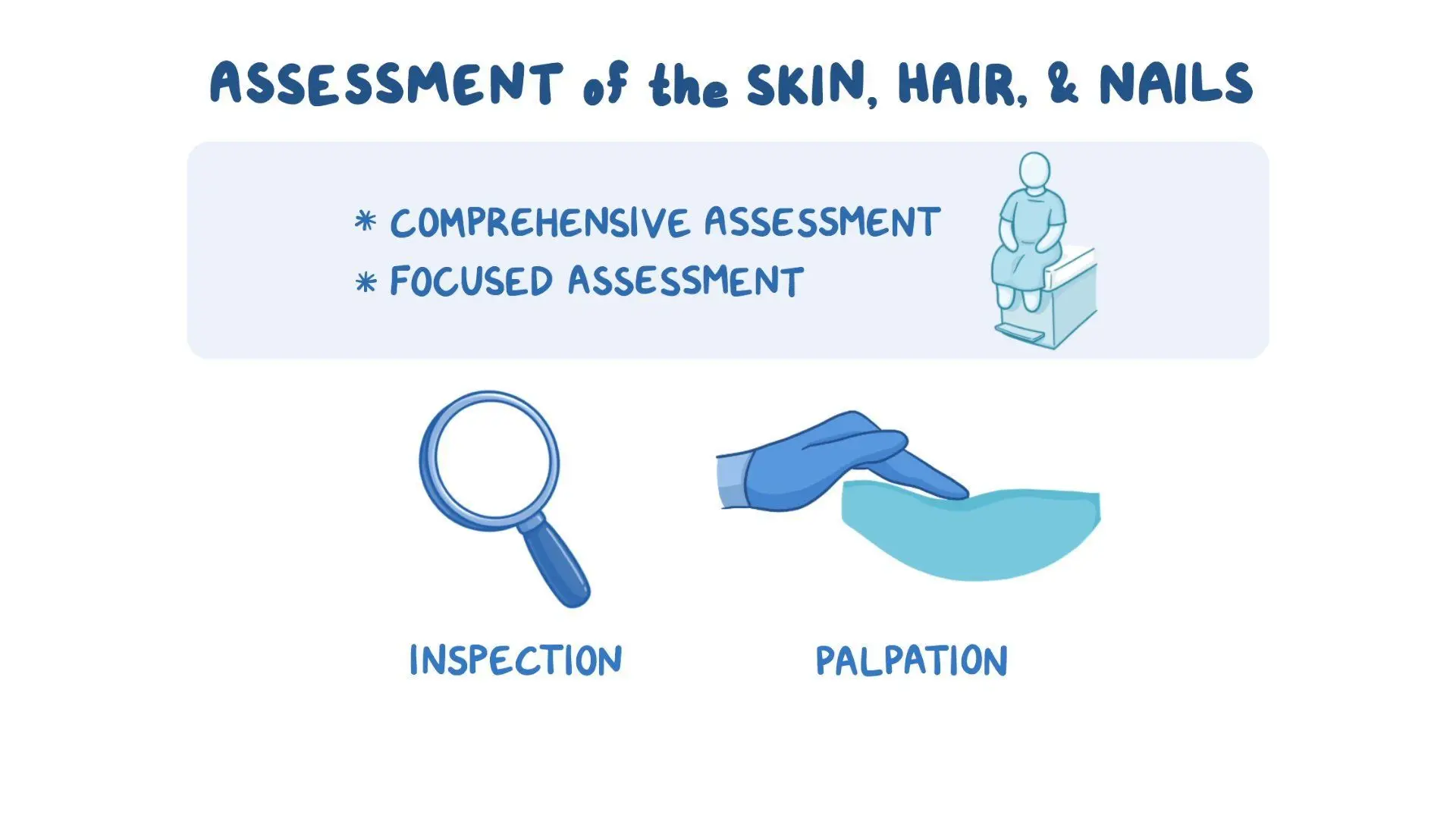 Assessment of Skin, Hair, and Nails: Video, Causes, & Meaning | Osmosis
