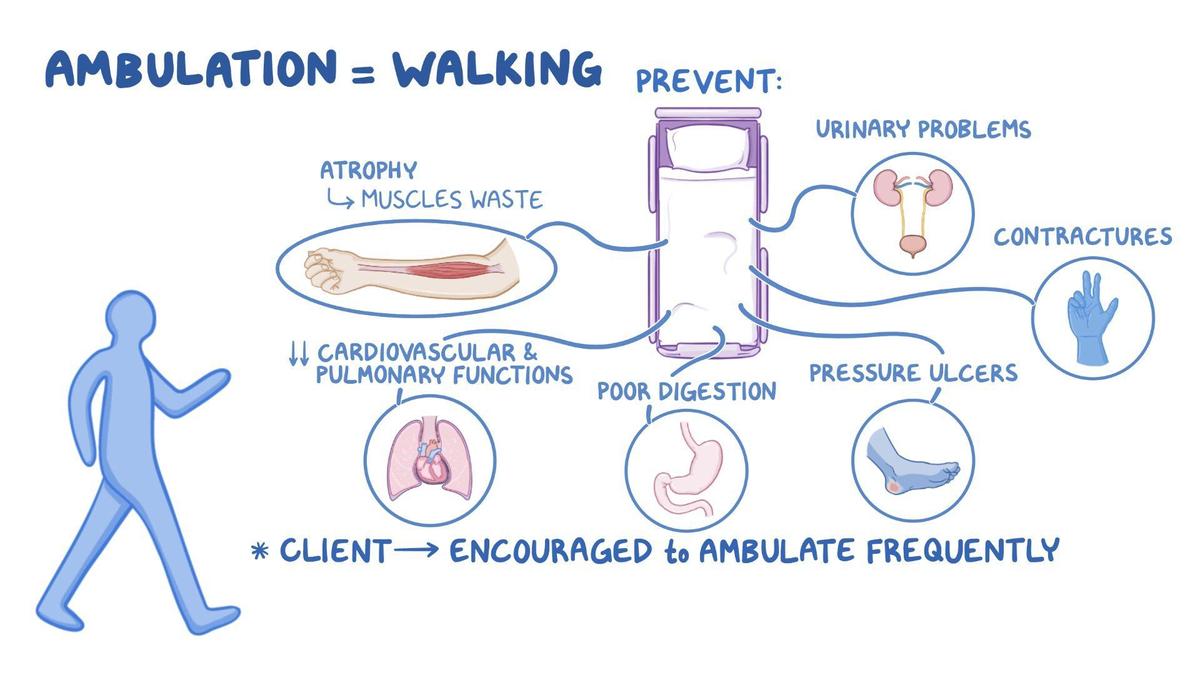 Assisting with ambulation: Video, Causes, & Meaning | Osmosis