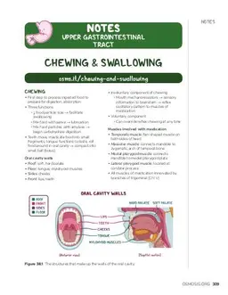 Chewing and swallowing: Video, Causes, & Meaning | Osmosis