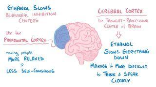 Substance use disorders Notes: Diagrams & Download PDF | Osmosis