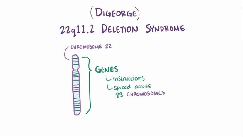 DiGeorge syndrome: Video, Causes, & Meaning | Osmosis