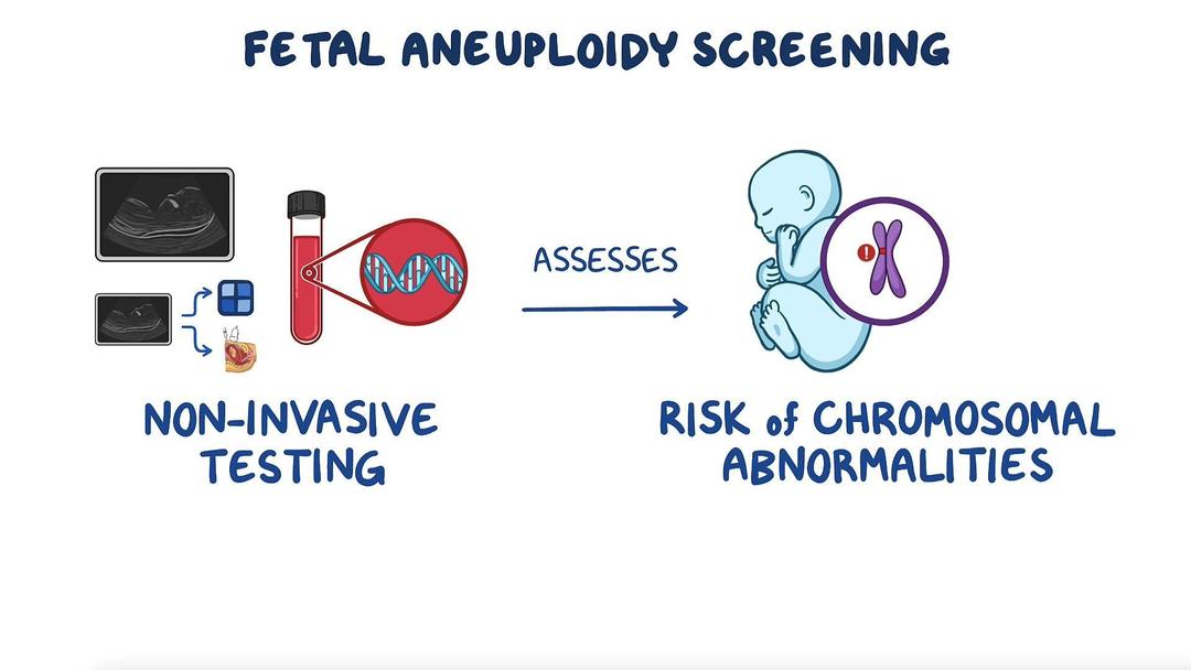 Cribado de aneuploidías fetales: ciencias clínicas | Osmosis