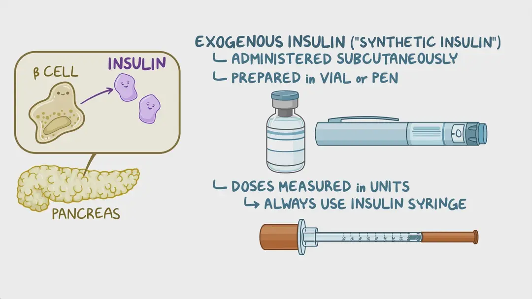 Insulin Dosing and Administration Protocols: Video, Causes, & Meaning ...