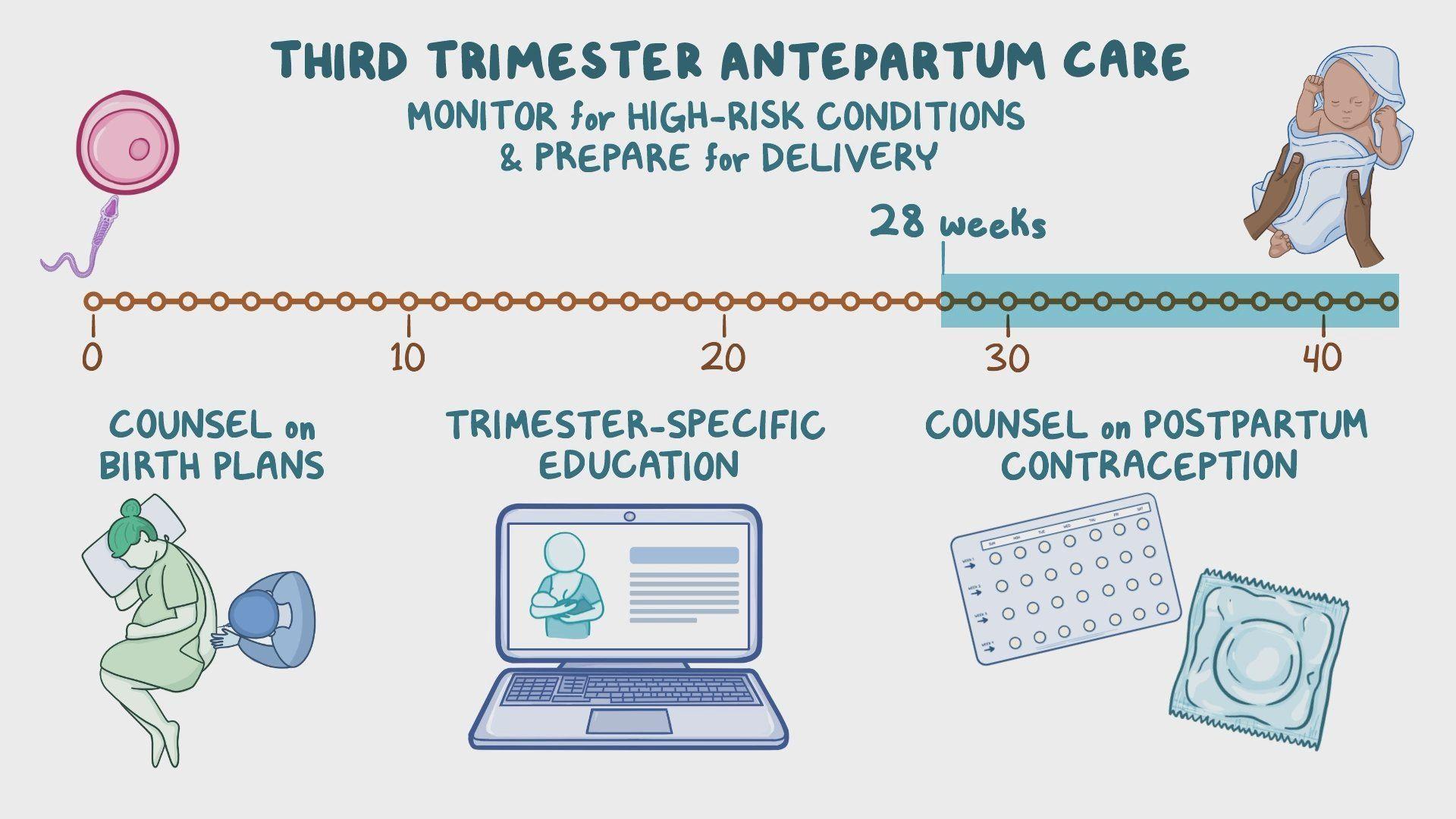 Antepartum care (third trimester): Video & Meaning | Osmosis