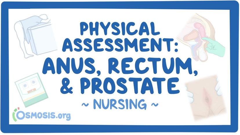 Physical assessment - Anus, rectum, and prostate: Nursing - Osmosis ...