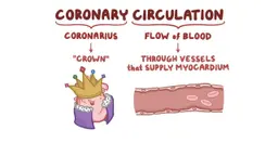 Video: ECG basics | Osmosis