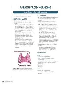 Parathyroid hormone: Video, Causes, & Meaning | Osmosis