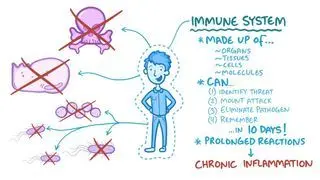 Immune System Notes: Diagrams & Download PDF | Osmosis