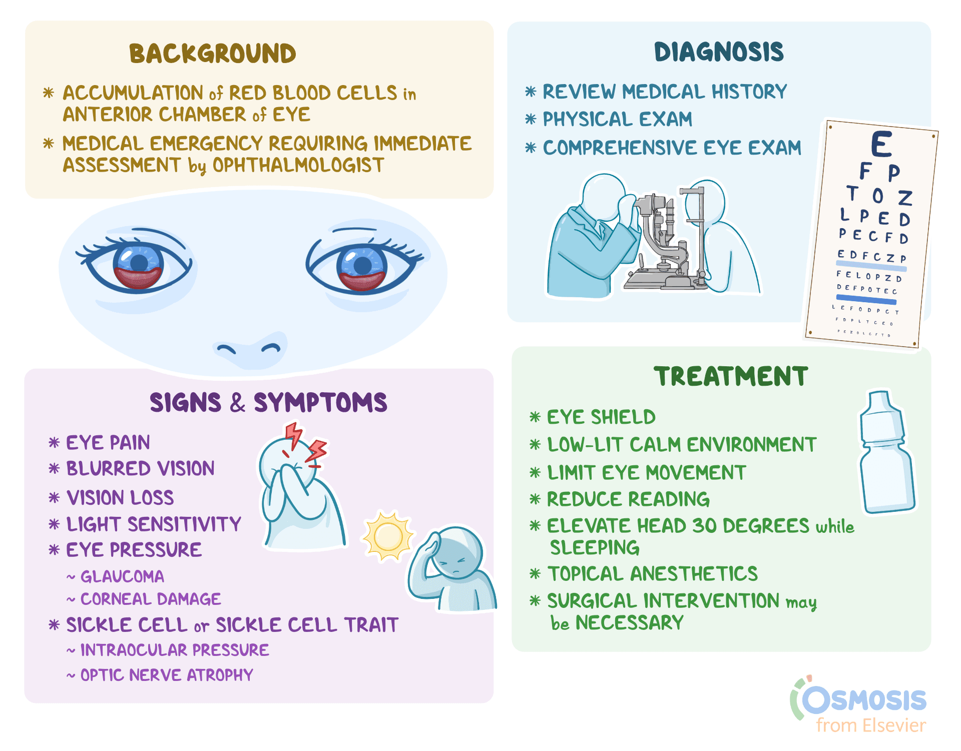 Test | Osmosis